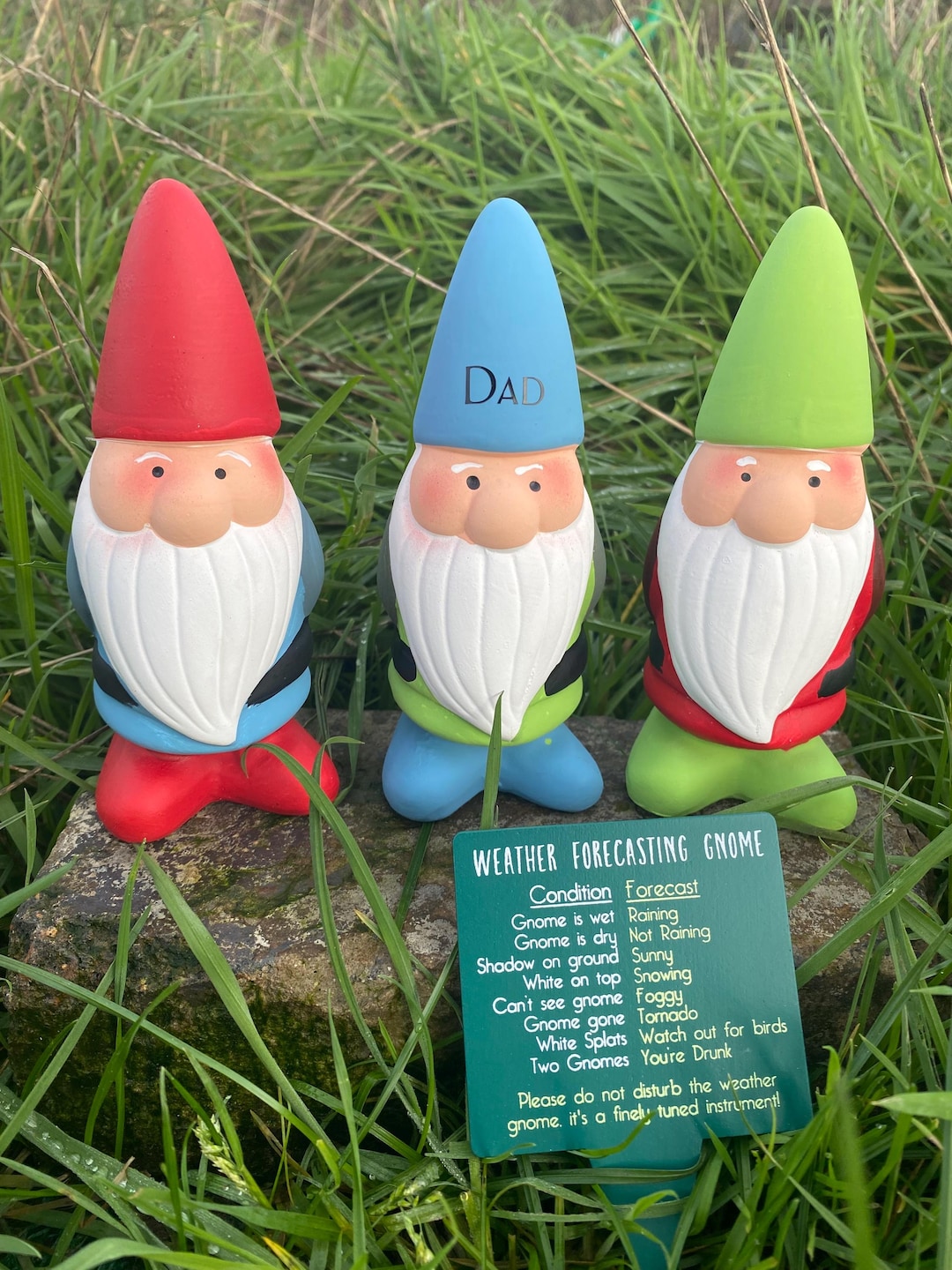 Personalised Garden Gnome: Cheeky Weather Forecast Gift, Funny Garden ...