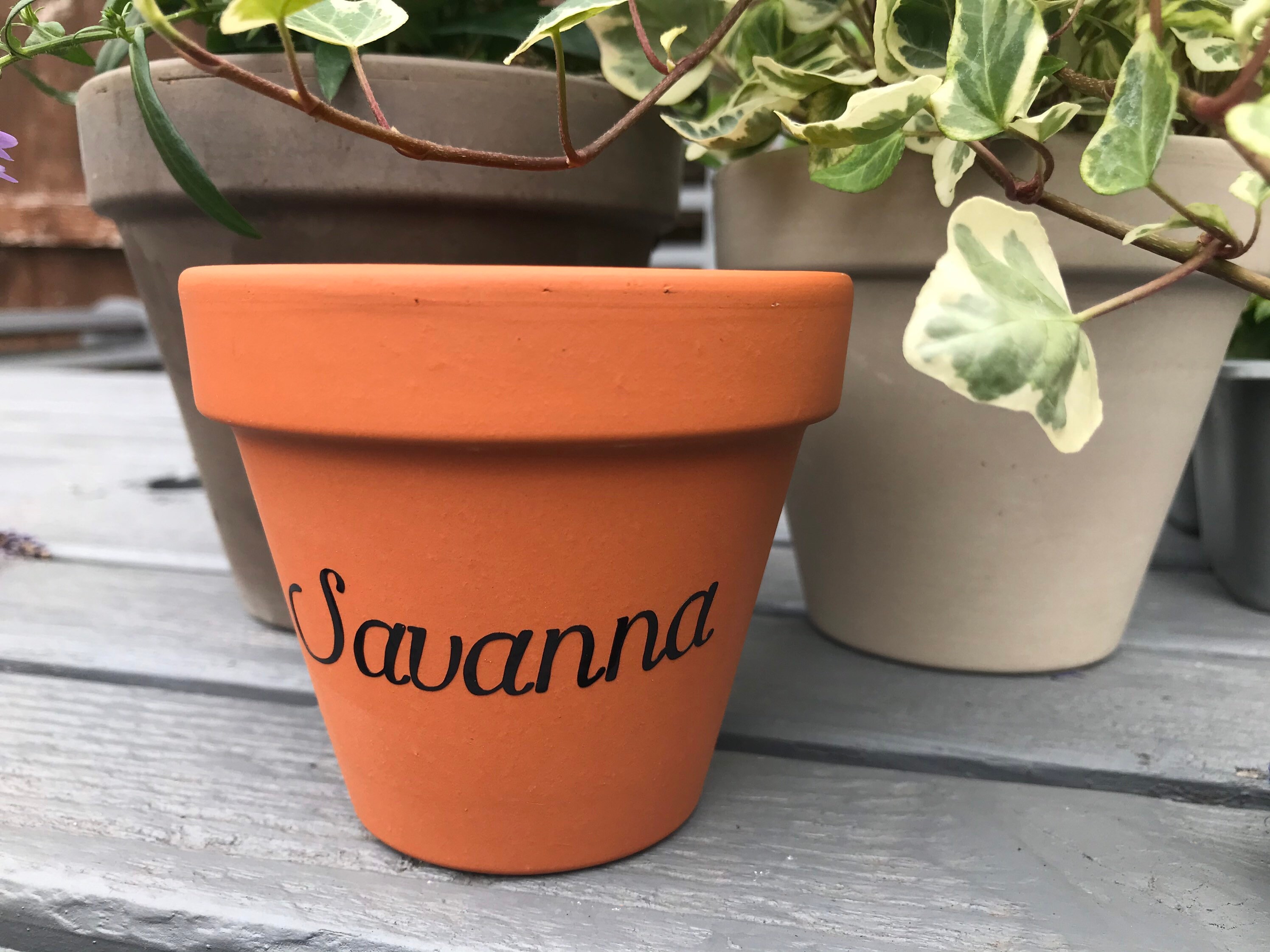 Personalised Plant Pot Personalised Garden GiftUnique | Etsy