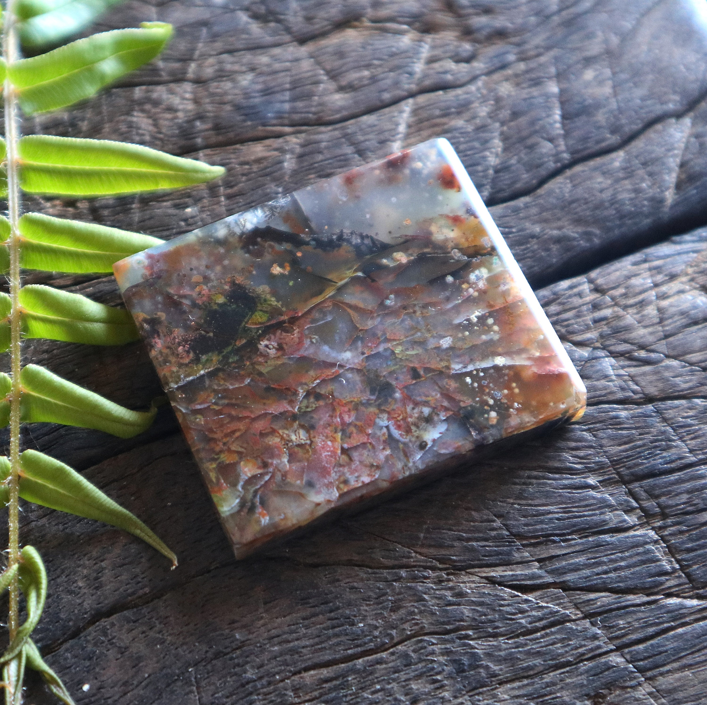 Opalized Petrified Wood Copper,mohs Scales of Mineral Hardness,agate ...