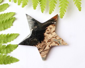 Star Root - Etsy