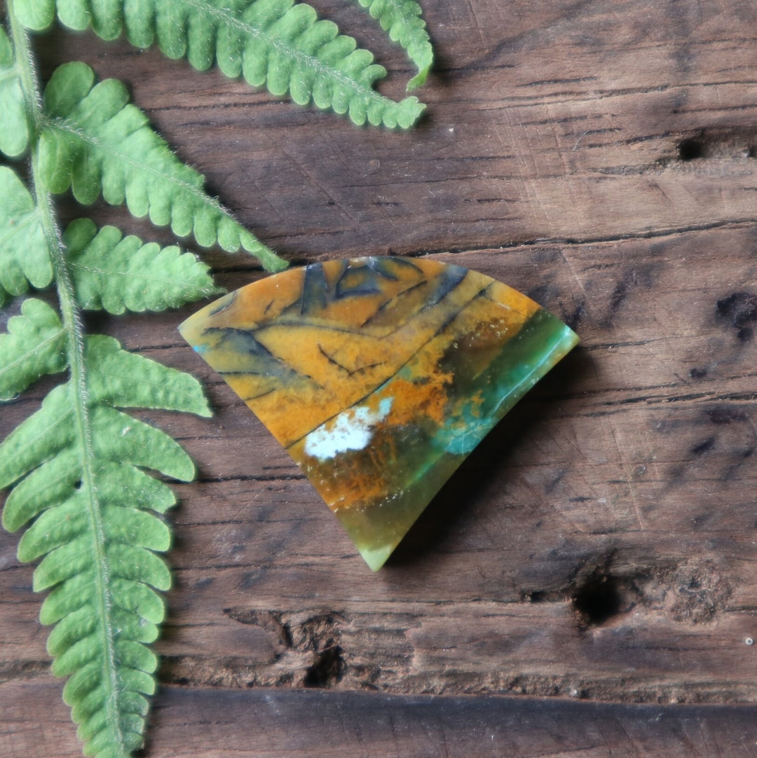 Blue Opal Petrified Wood,mohs Scales of Mineral Hardness,agate Gemstone ...