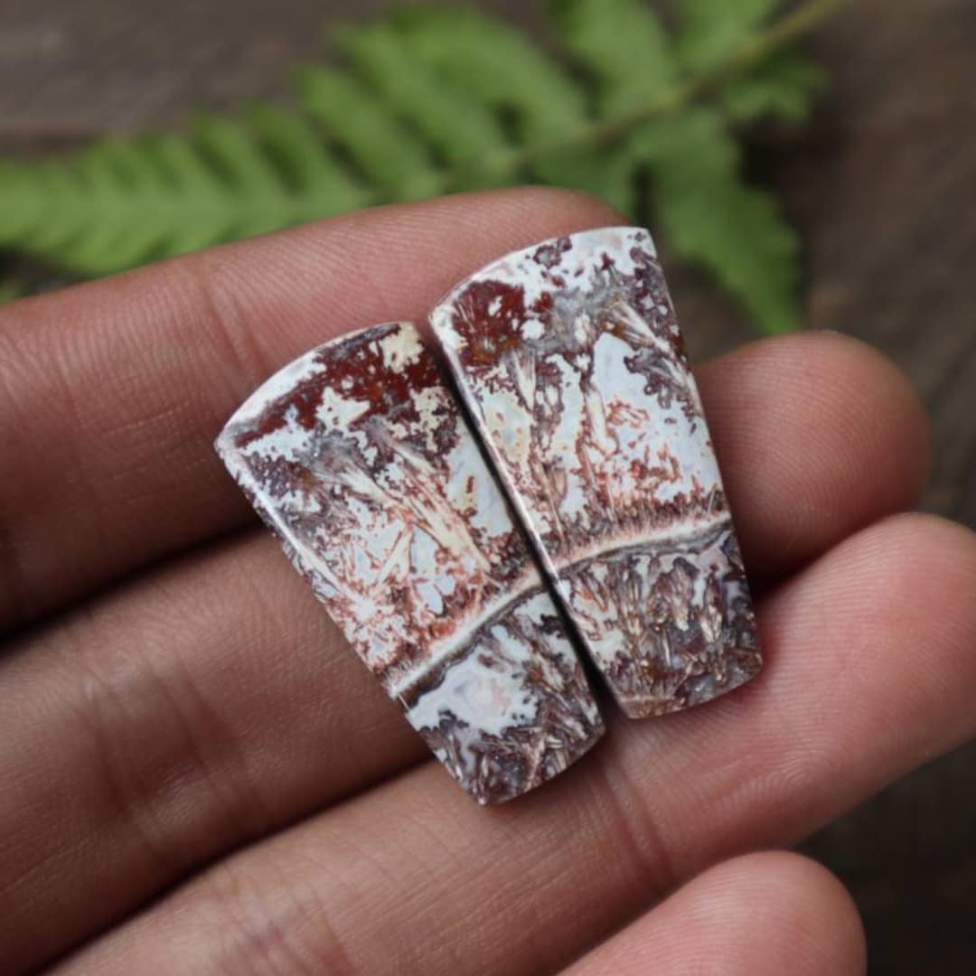 Natural Unique Stick Jasper Pair - Etsy Australia