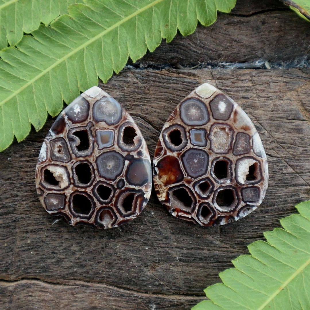 Natural Drussy Fossil Coral Agate Pair for Jewelry Making – Rare ...