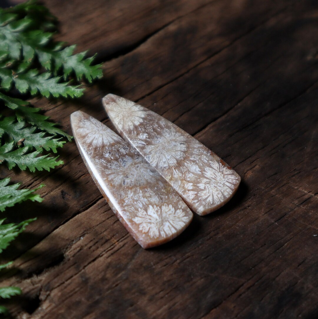 Coral Agate,mohs Scales of Mineral Hardness,agate Gemstone,flower Agate ...