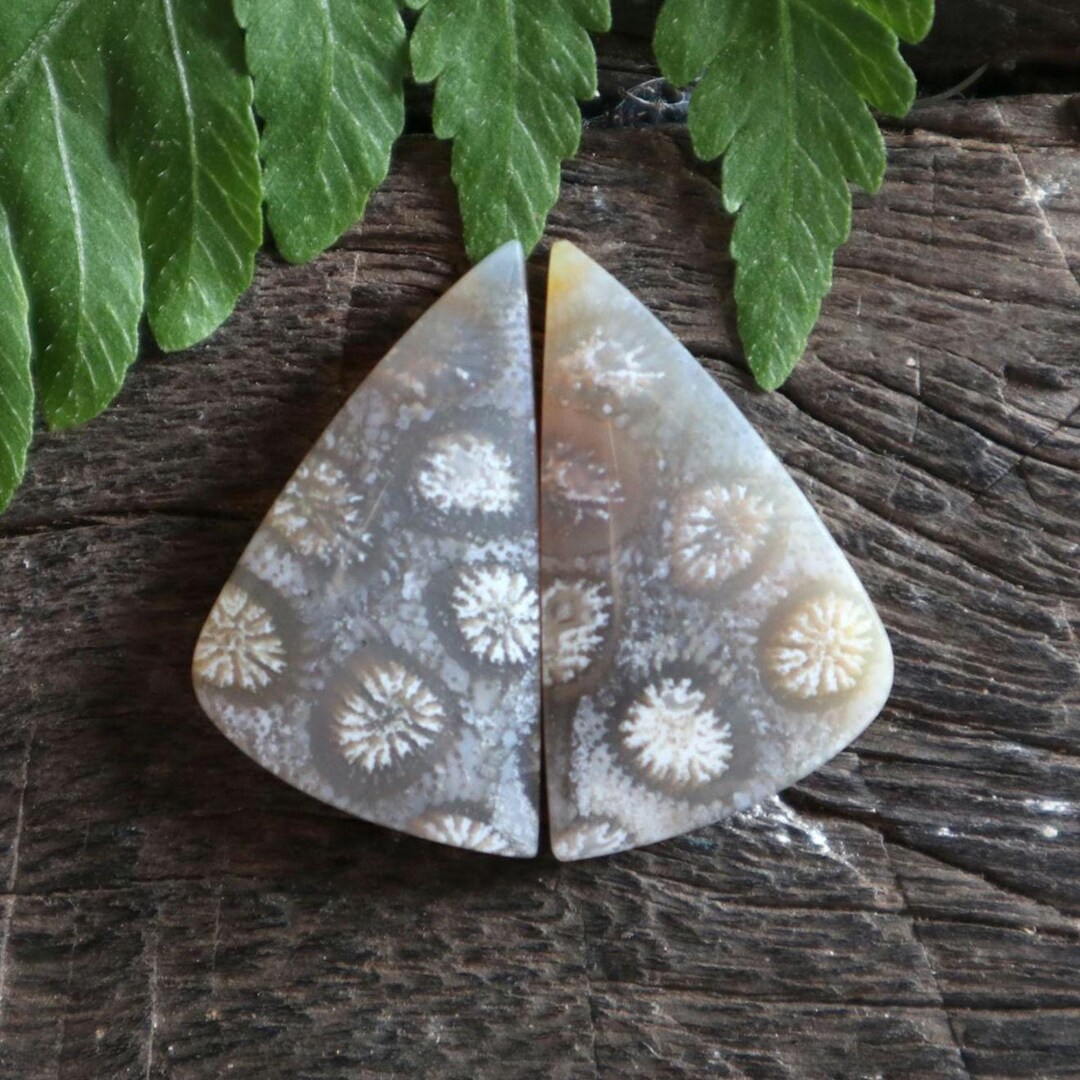 Polished Fossil Coral: Flower Pattern Jewelry Making Stone - Etsy