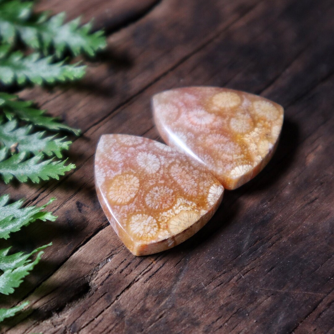 Coral Agate,mohs Scales of Mineral Hardness,agate Gemstone,flower Agate ...