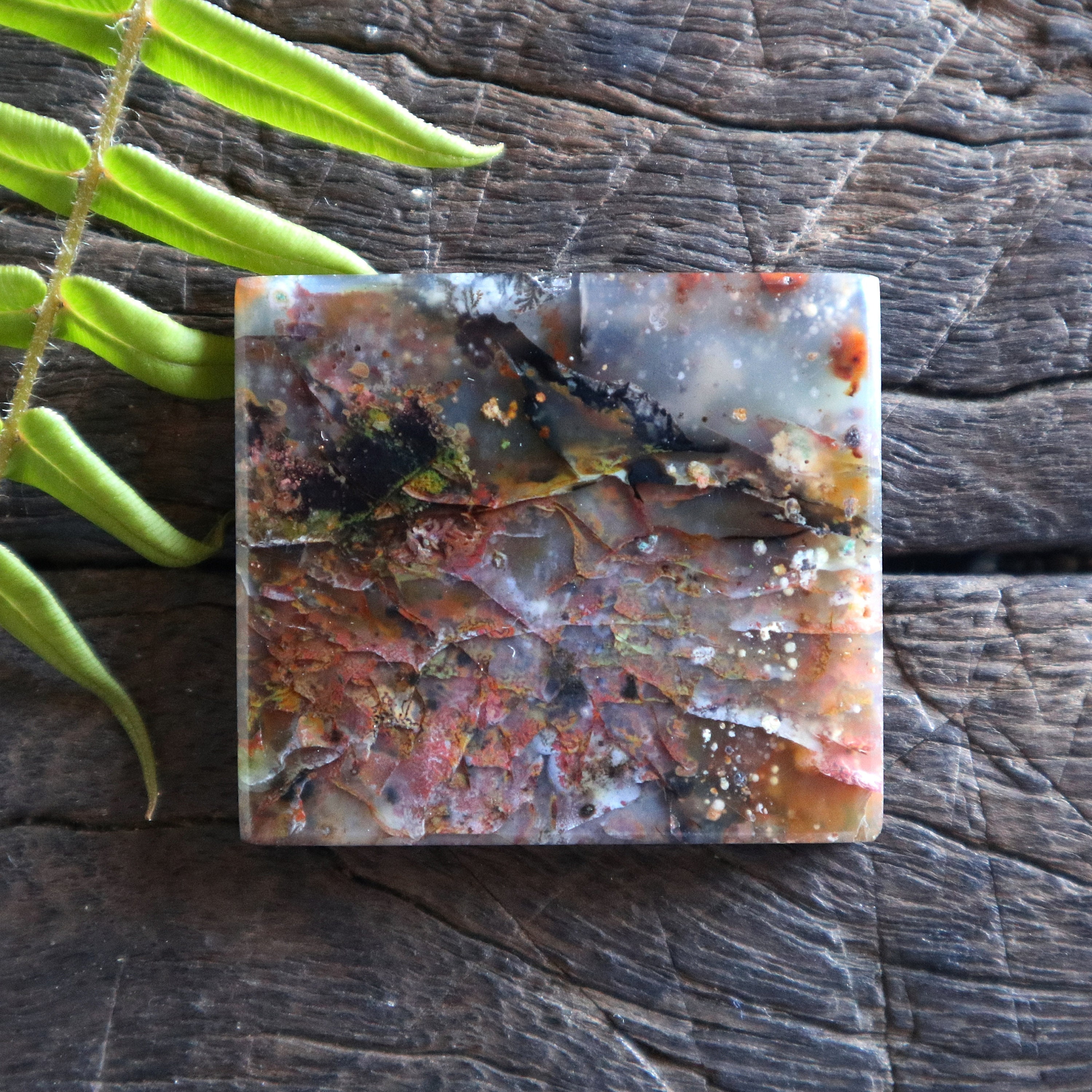 Opalized Petrified Wood Copper,mohs Scales of Mineral Hardness,agate ...