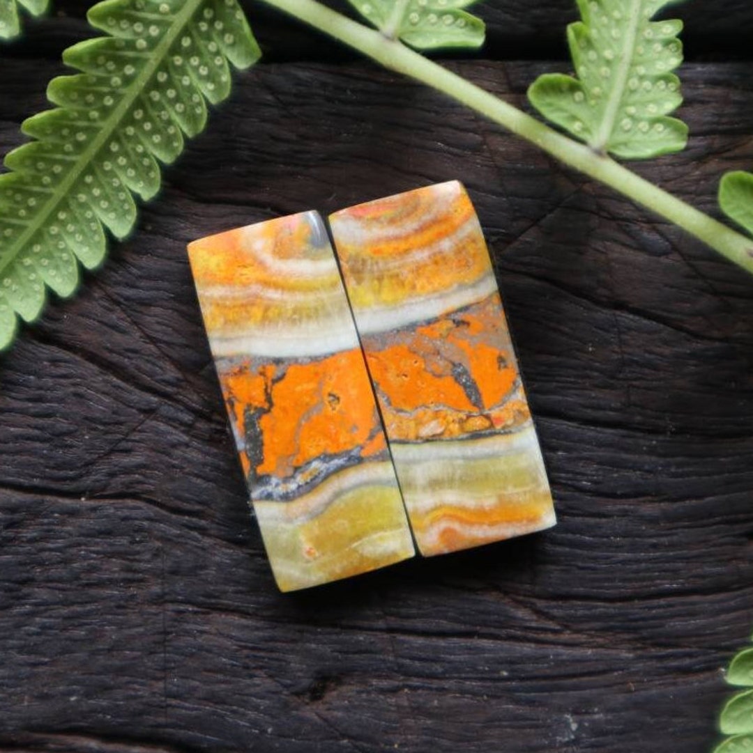 Natural Bumblebee Mohs Scales of Mineral Hardness,agate Gemstone,flower ...