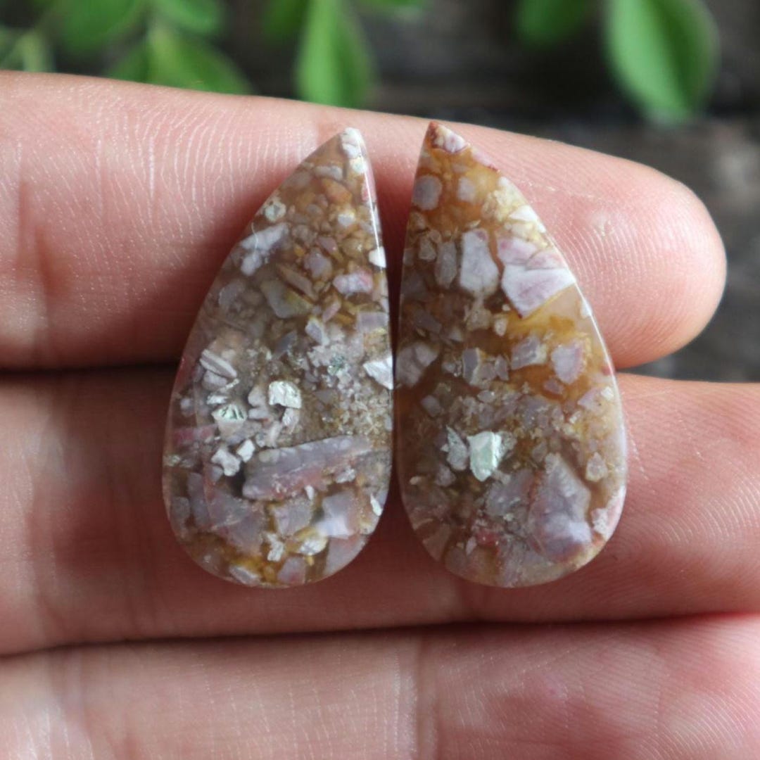 Agatized Fossil Coral Pair: Natural Stone Specimen, Geology Gift - Etsy