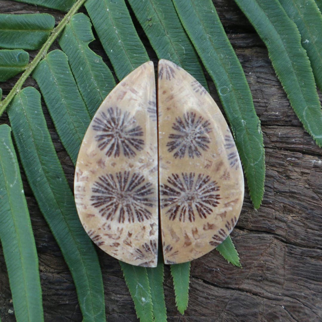 Polished Fossil Coral Cabochon: Flower Pattern Jewelry Making - Etsy