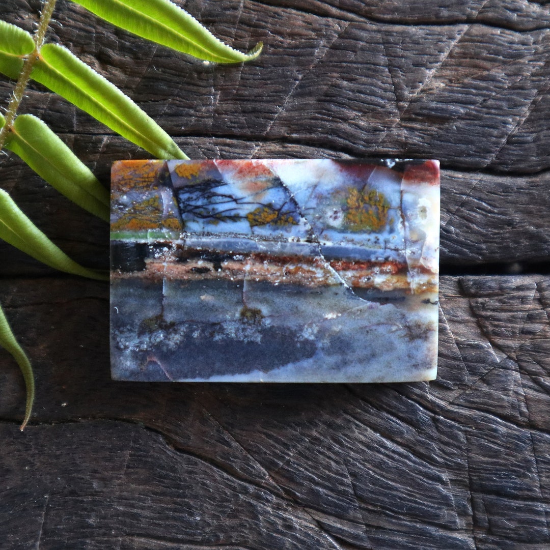 Opalized Petrified Wood,mohs Scales of Mineral Hardness,agate Gemstone ...