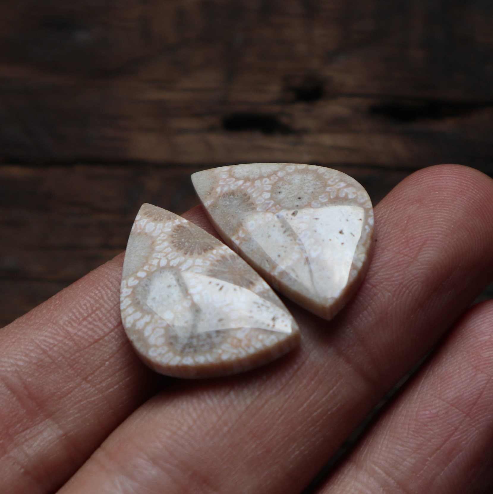 Agate Fossil Coral,mohs Scales of Mineral Hardness,agate Gemstone ...