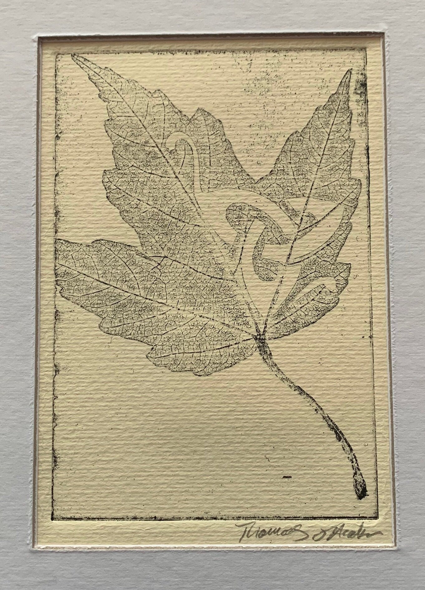 Trinity Leaf Print - Etsy