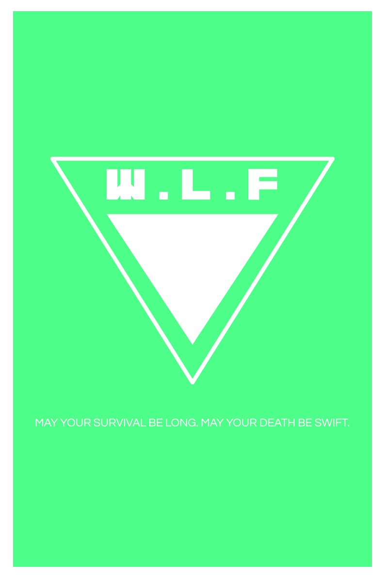 The Last of Us Minimalist Poster Print Fireflies WLF - Etsy