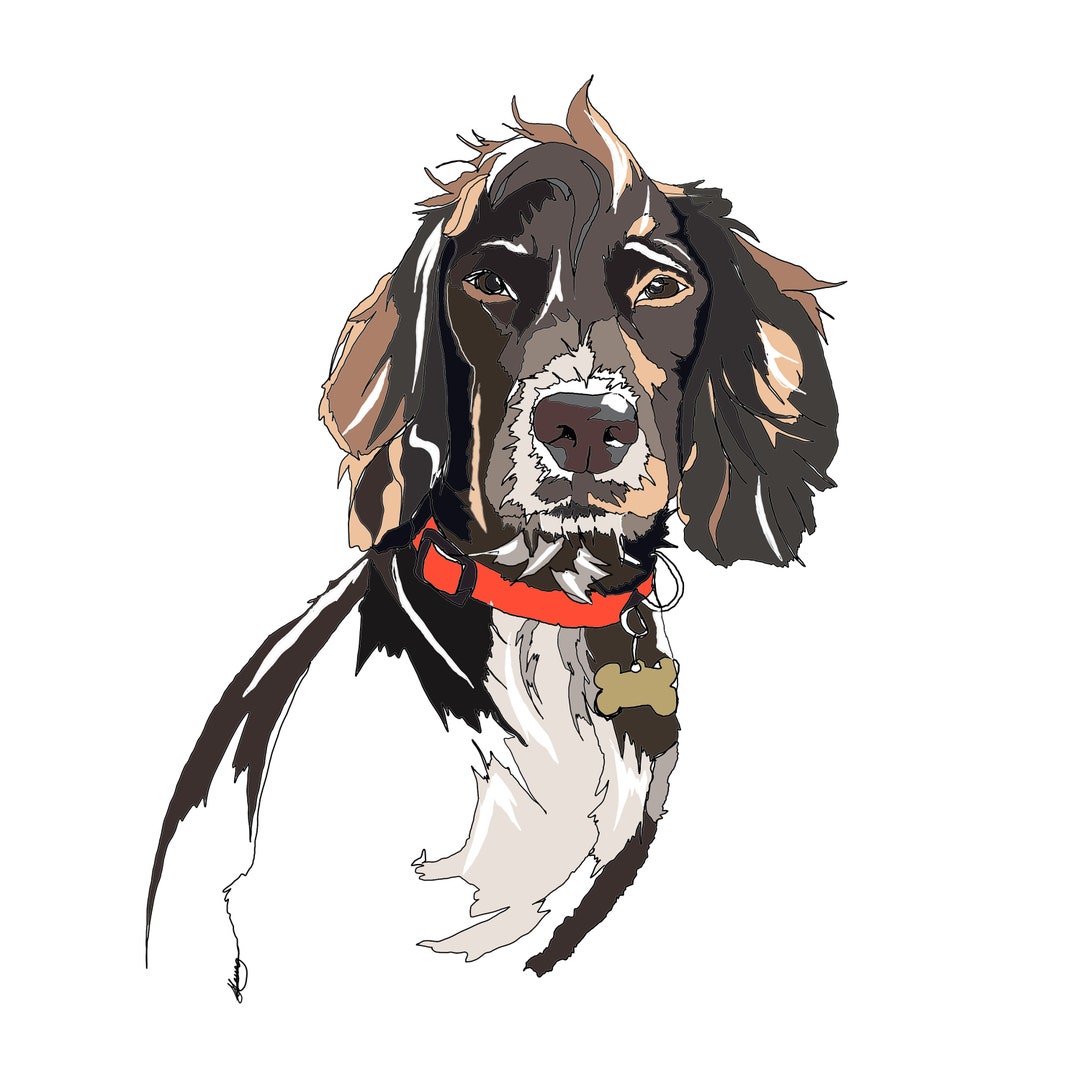 Digital Custom Pet Drawing - Etsy