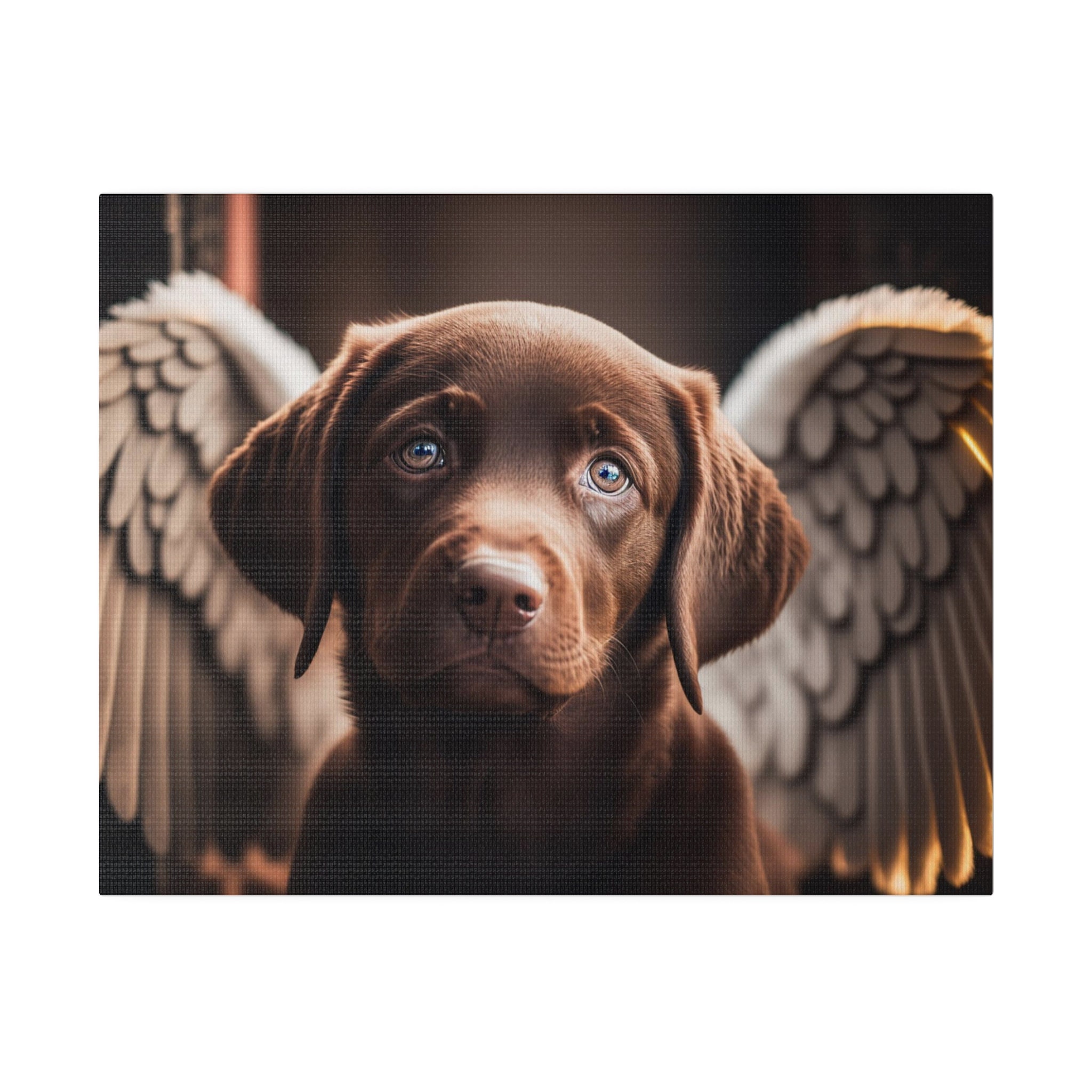 Chocolate Lab Angel Digital Art Matte Canvas, Stretched, 0.75, Frenchie ...
