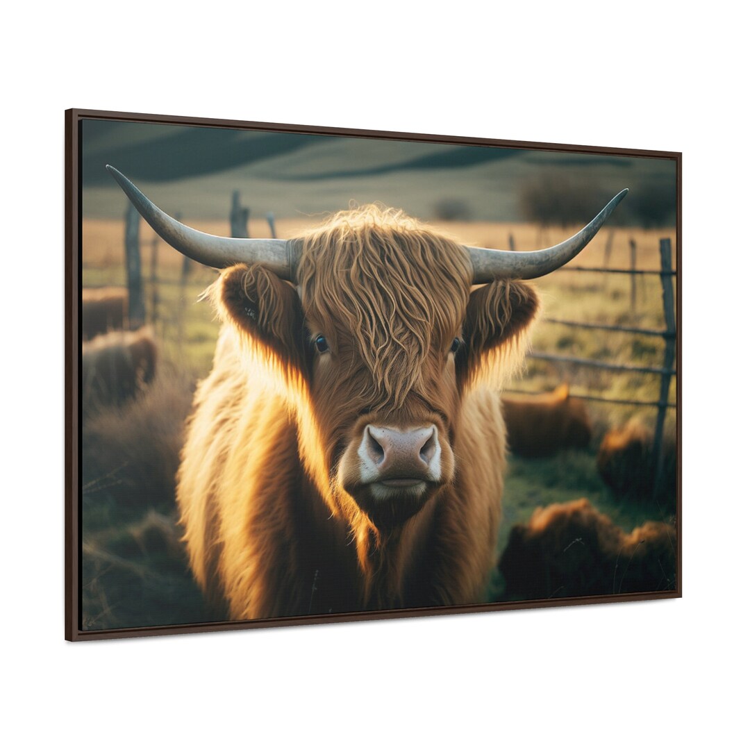 Highland Cow Gallery Canvas Wraps, Hairy Cow Decor Highland Cow Canvas ...