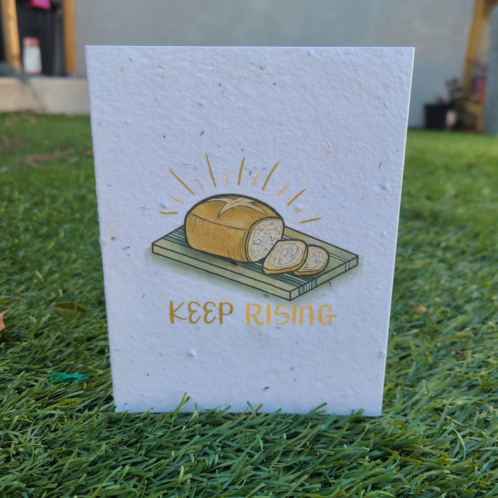 Bread Cards / Plantable Greeting Cards - Etsy