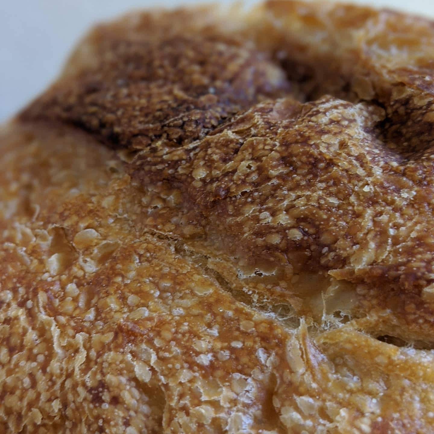 Classic Sourdough Starter Organic / Homemade Bread | Etsy