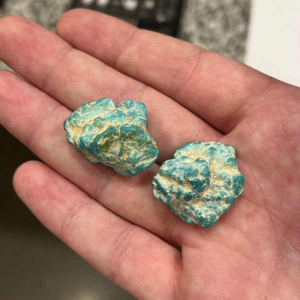 Fox Turquoise - Etsy