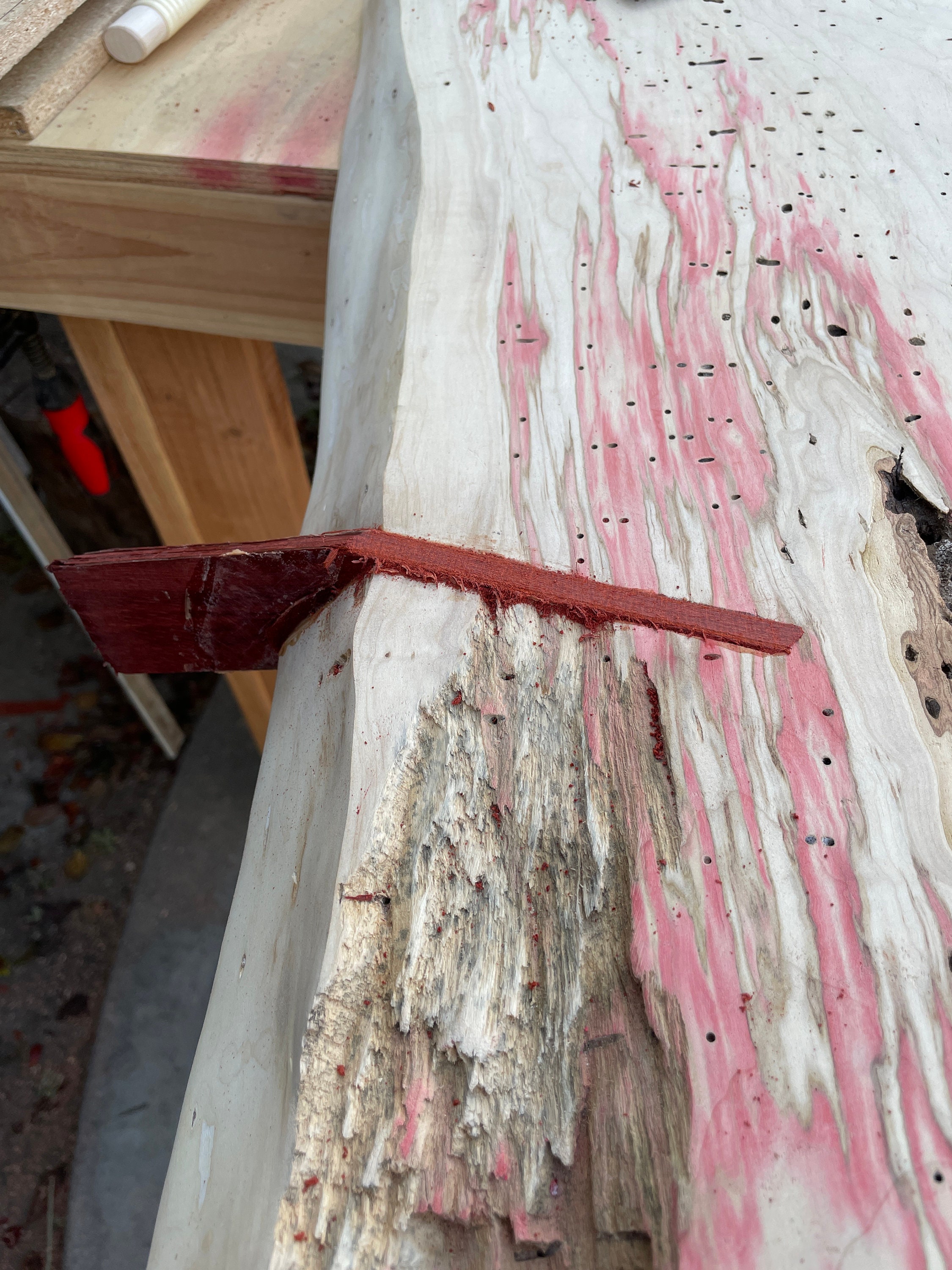 The Devils Toothpick - Etsy