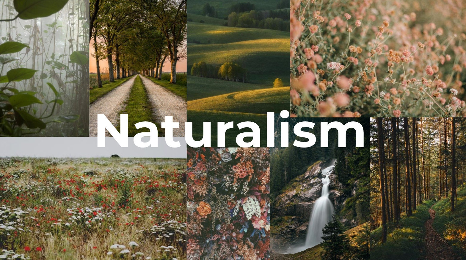Naturalism Photo Collage - Etsy