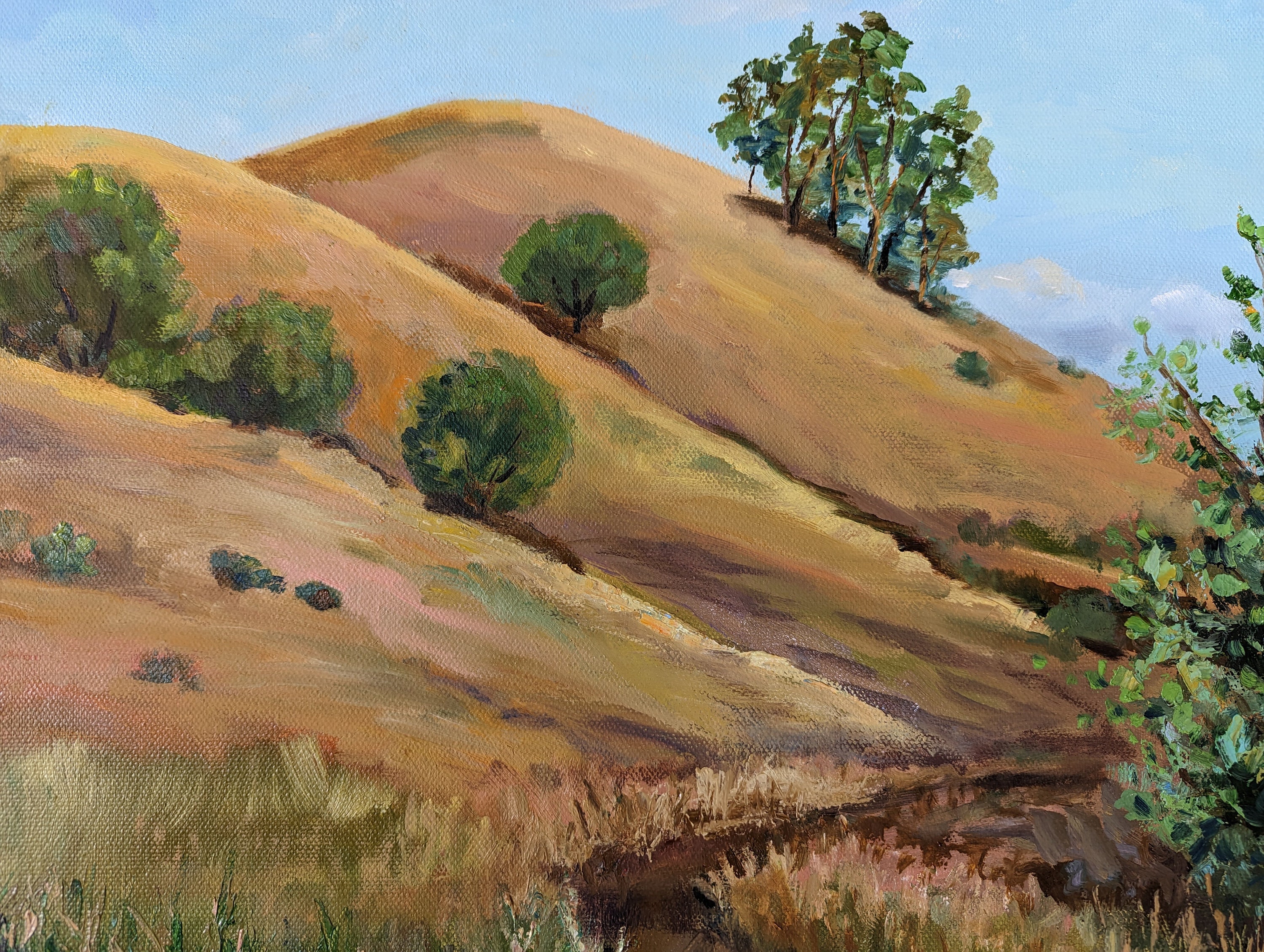 California Landscape Painting Original Painting oil on - Etsy