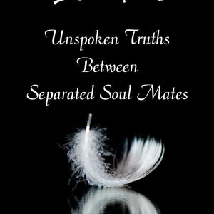 Soul Connection Bundle -true Divine Counterparts Check-in BUNDLE: Let's ...