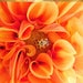 The Integration Cards Oracle Deck by Dyan Garris - Etsy