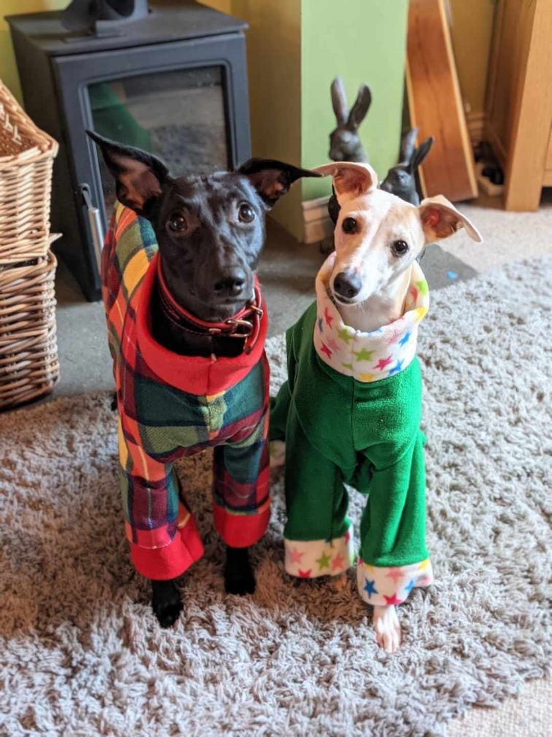 Green Star Whippet Onesie/pyjamas Made to Order - Etsy