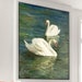 White Swan Paintingwhite Swan Artoversize Painting Original - Etsy