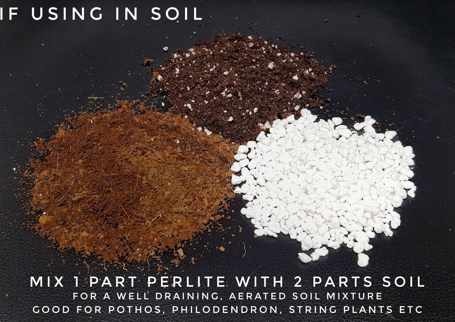 Perlite Houseplant Soil Mix 80g Perlite 10g Well Draining | Etsy