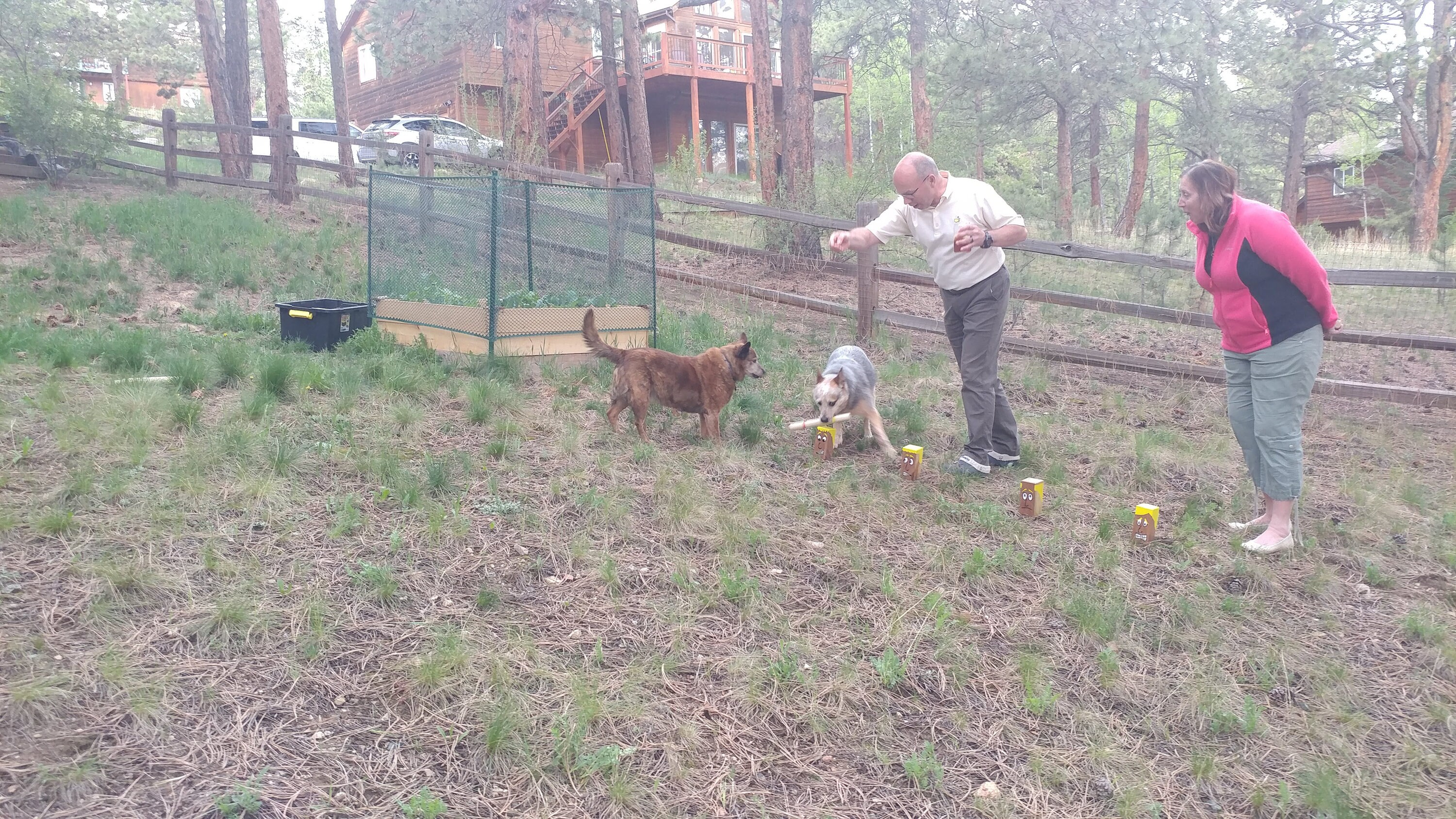 Custom Kubb Set for Outside Recreation Fun. Playable Anywhere There's a ...