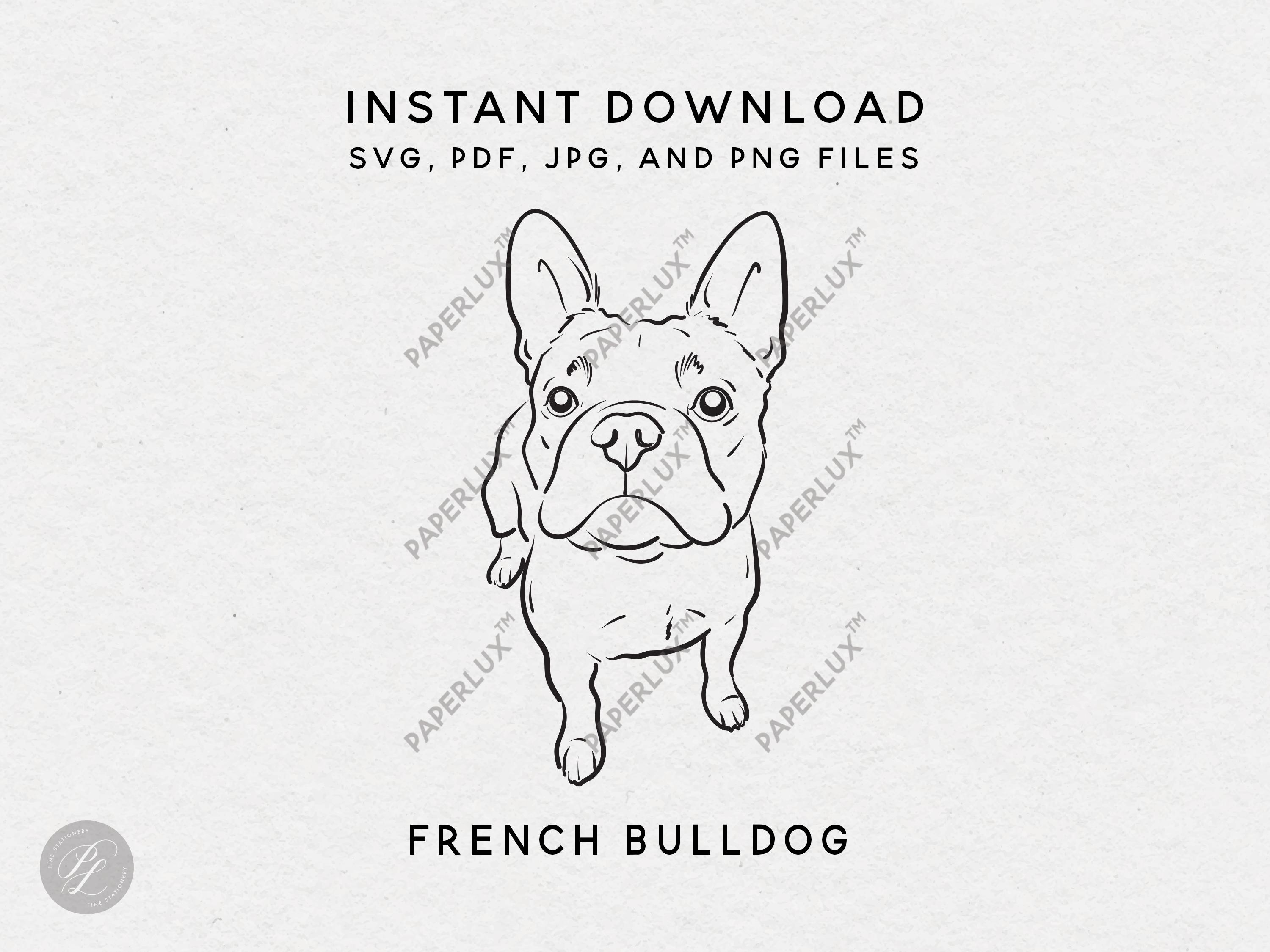 French Bulldog Drawing Outline