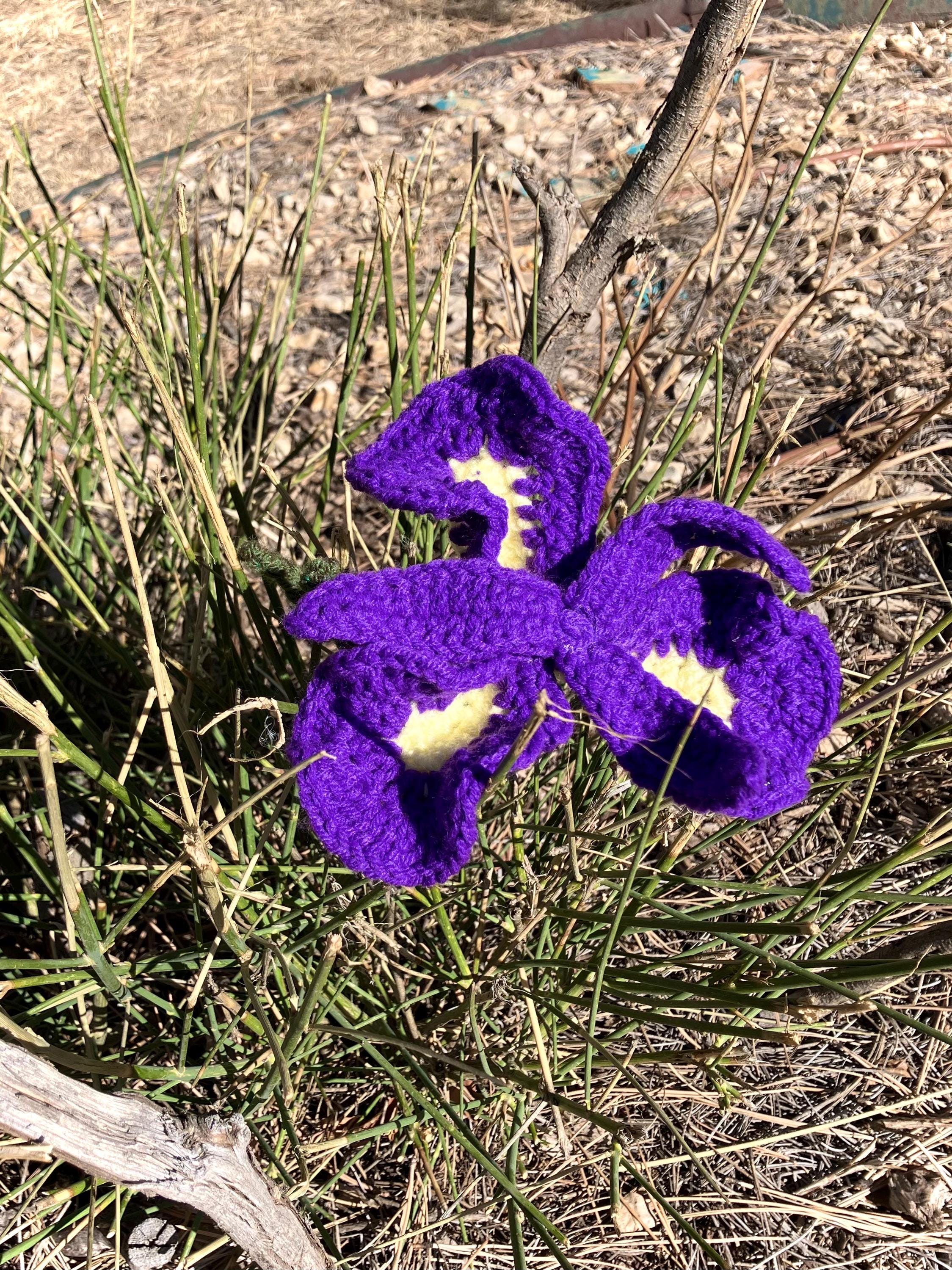 Iris Flower Crochet Pattern - Etsy