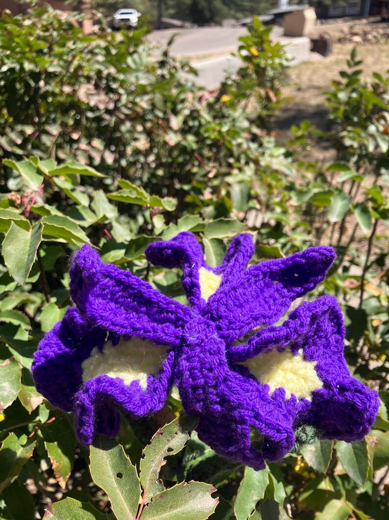 Iris Flower Crochet Pattern - Etsy