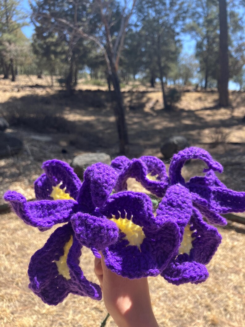 Iris Flower Crochet Pattern - Etsy