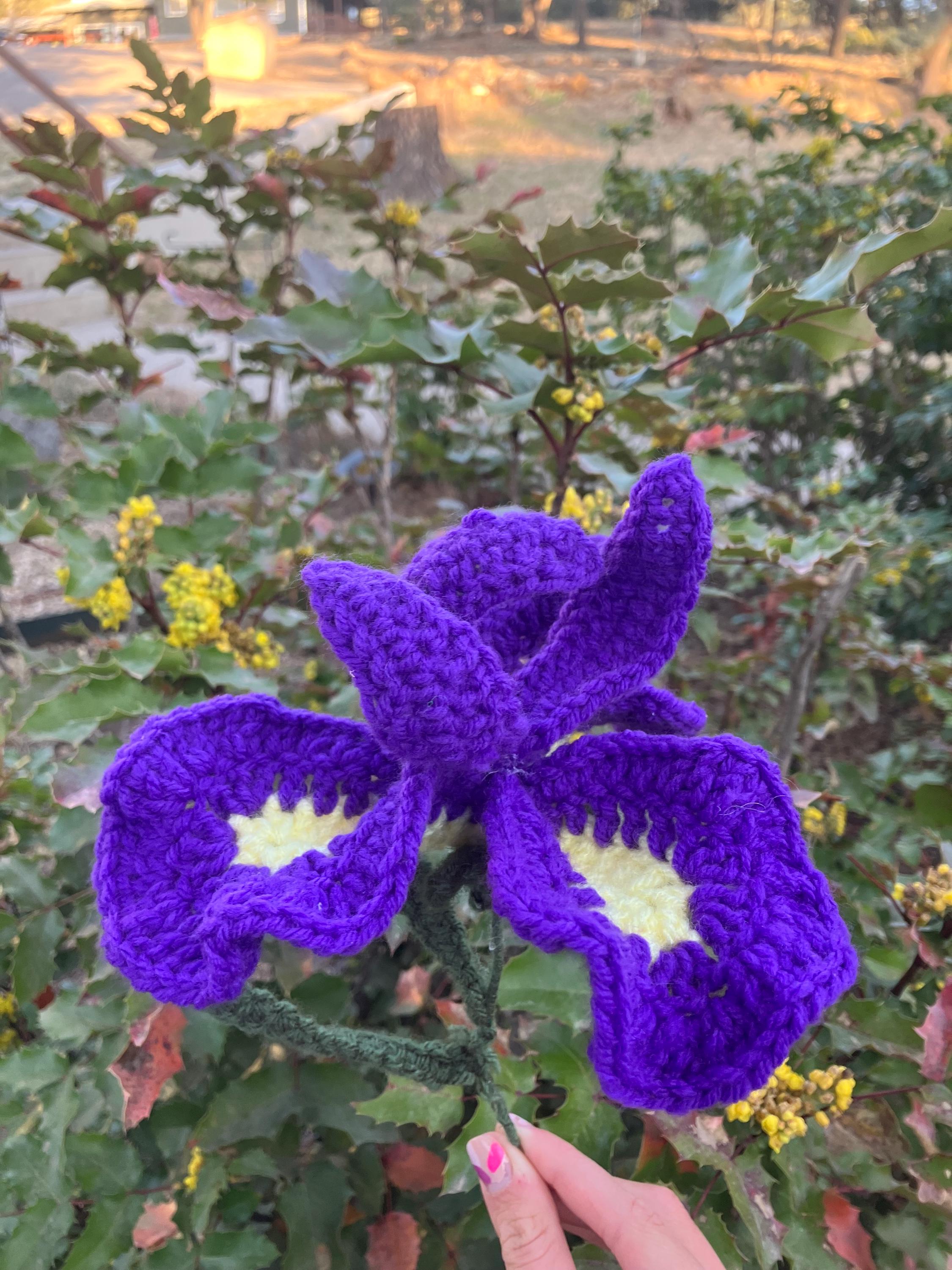 Iris Flower Crochet Pattern - Etsy
