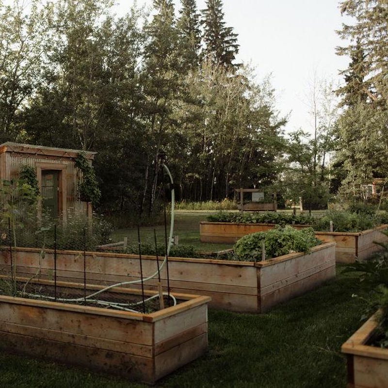 Covered Garden Bed Design - Etsy