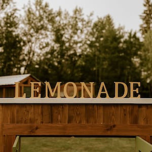 Lemon - Kids Lemonade Stand DIY Building Guide - Etsy