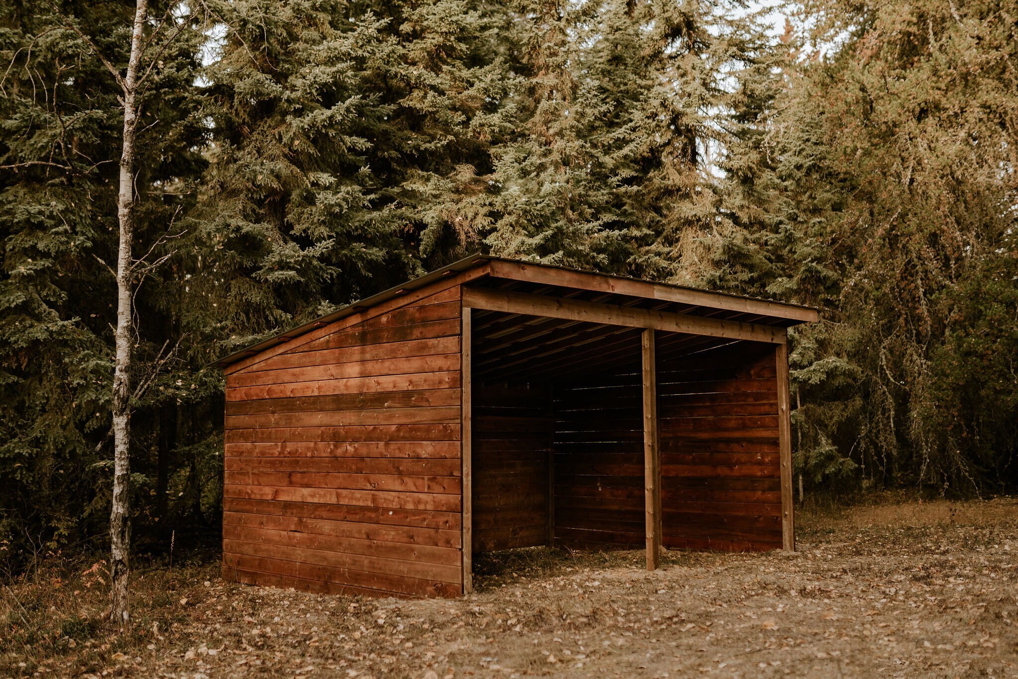 12x16 Pole Barn Plans