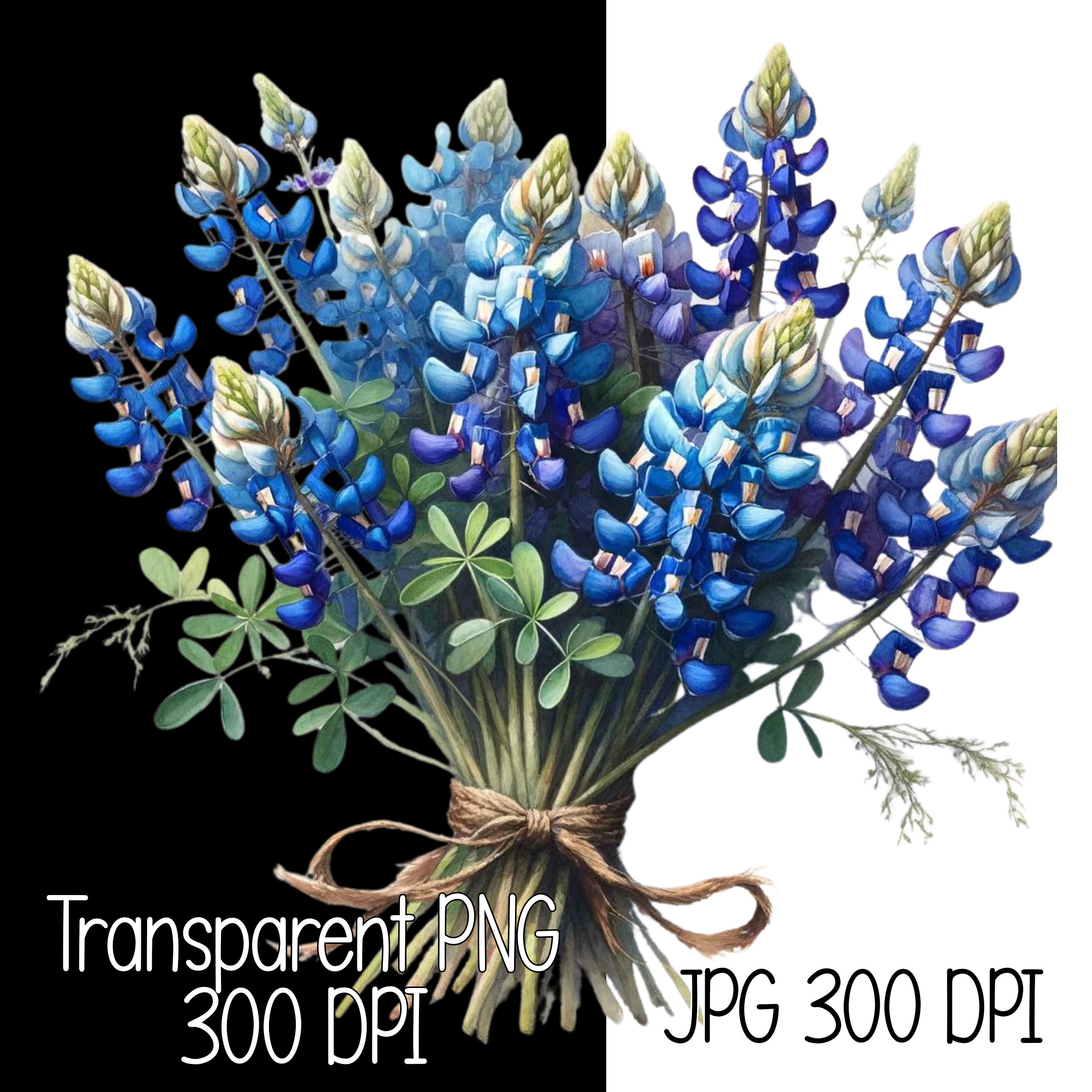 Texas Bluebonnet Bouquet Watercolor Illustration Clipart Commercial Use ...