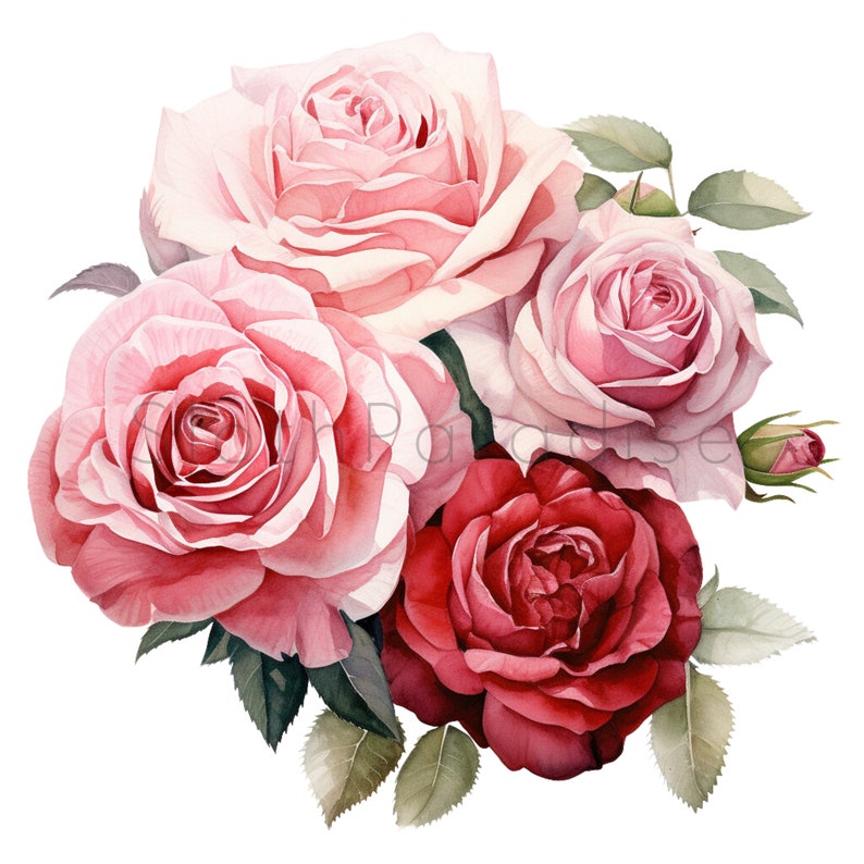 12 PNG Red and Pink Rose Bouquets Transparent Clipart Digital Download ...