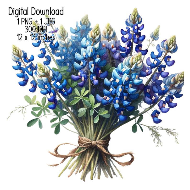 Texas Bluebonnet Bouquet Watercolor Illustration Clipart Commercial Use ...