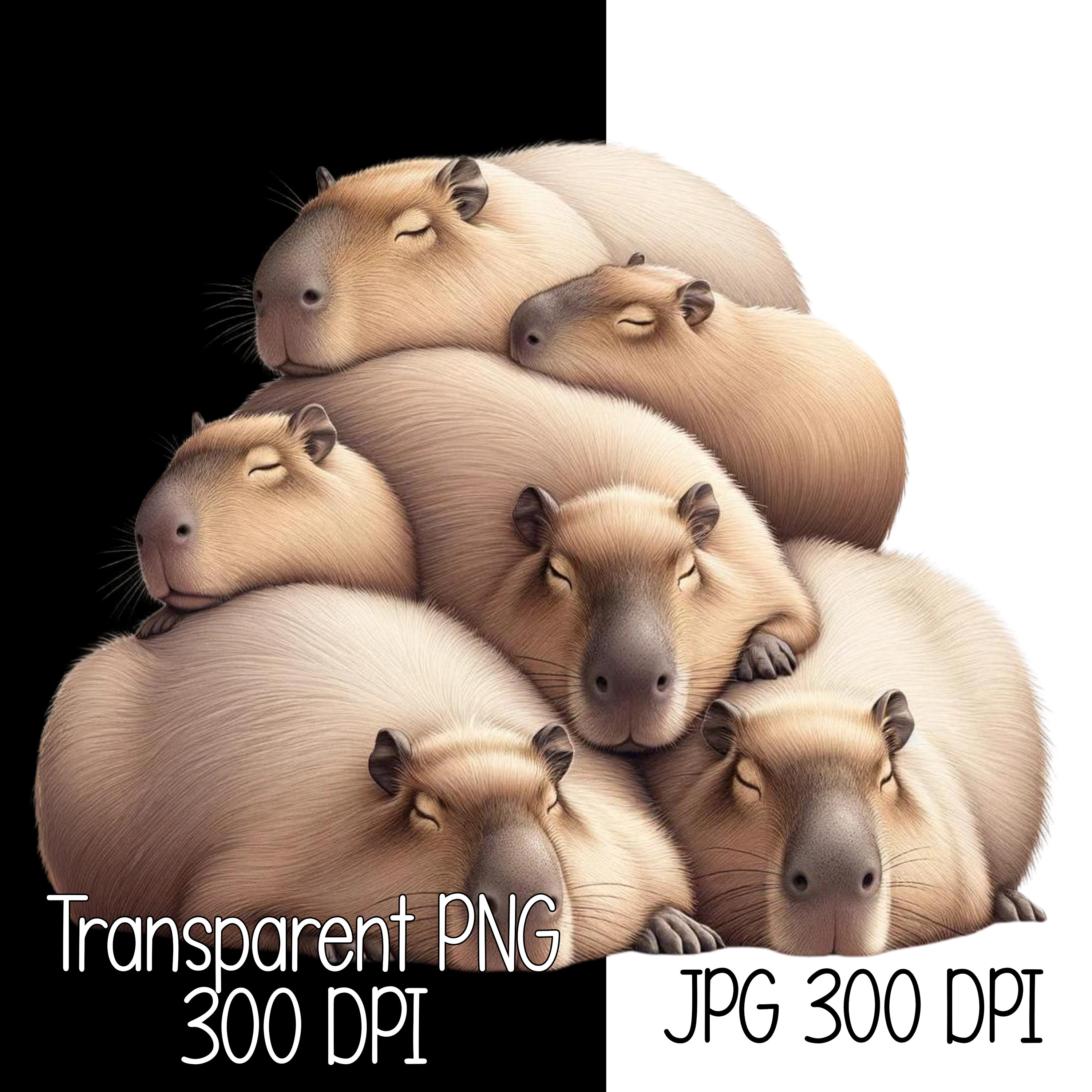 Pile of Cute Capybaras Watercolor Illustration Clipart Commercial Use Sublimation Designs ...