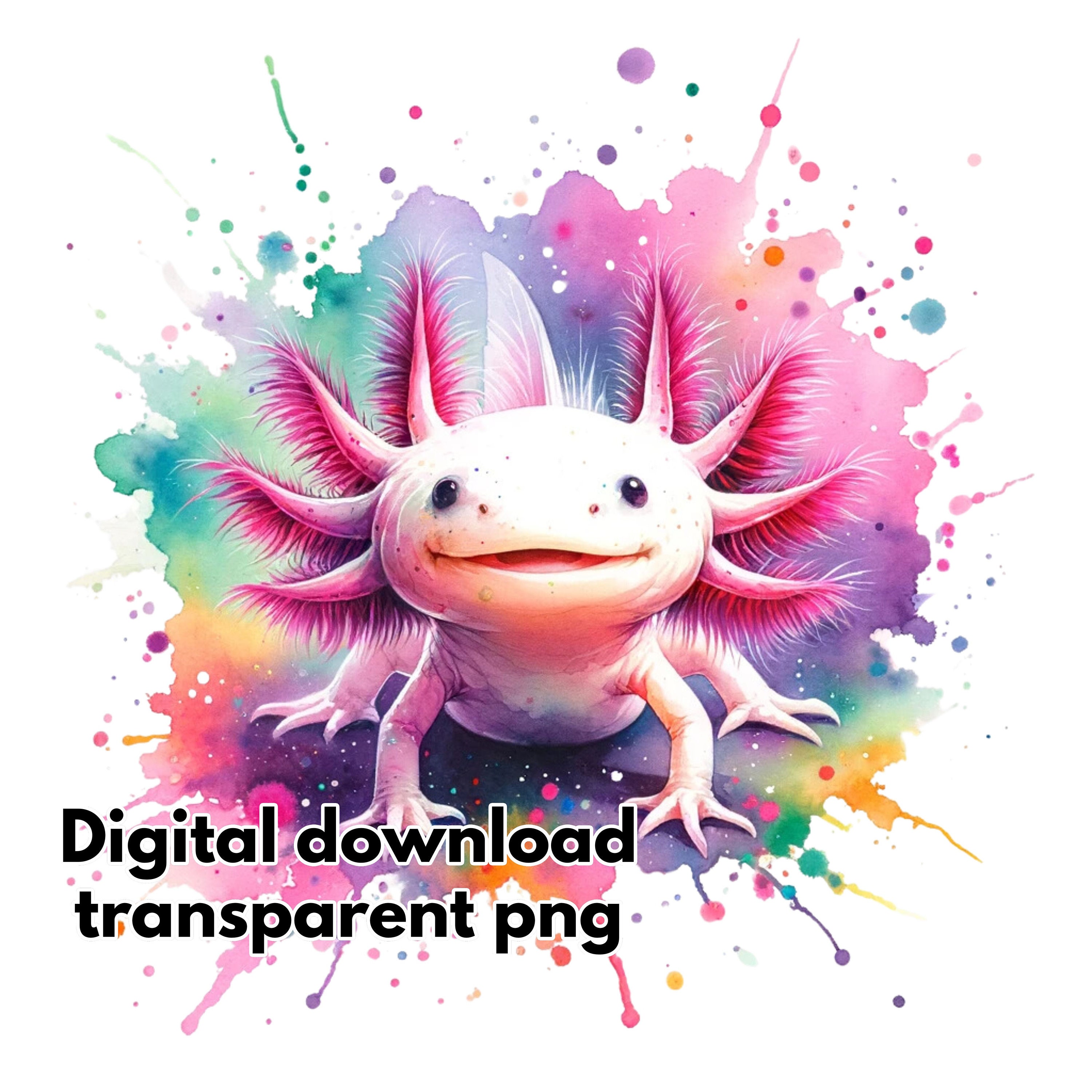 PNG Axolotl Color Splash Digital Download Commercial Use Transparent ...