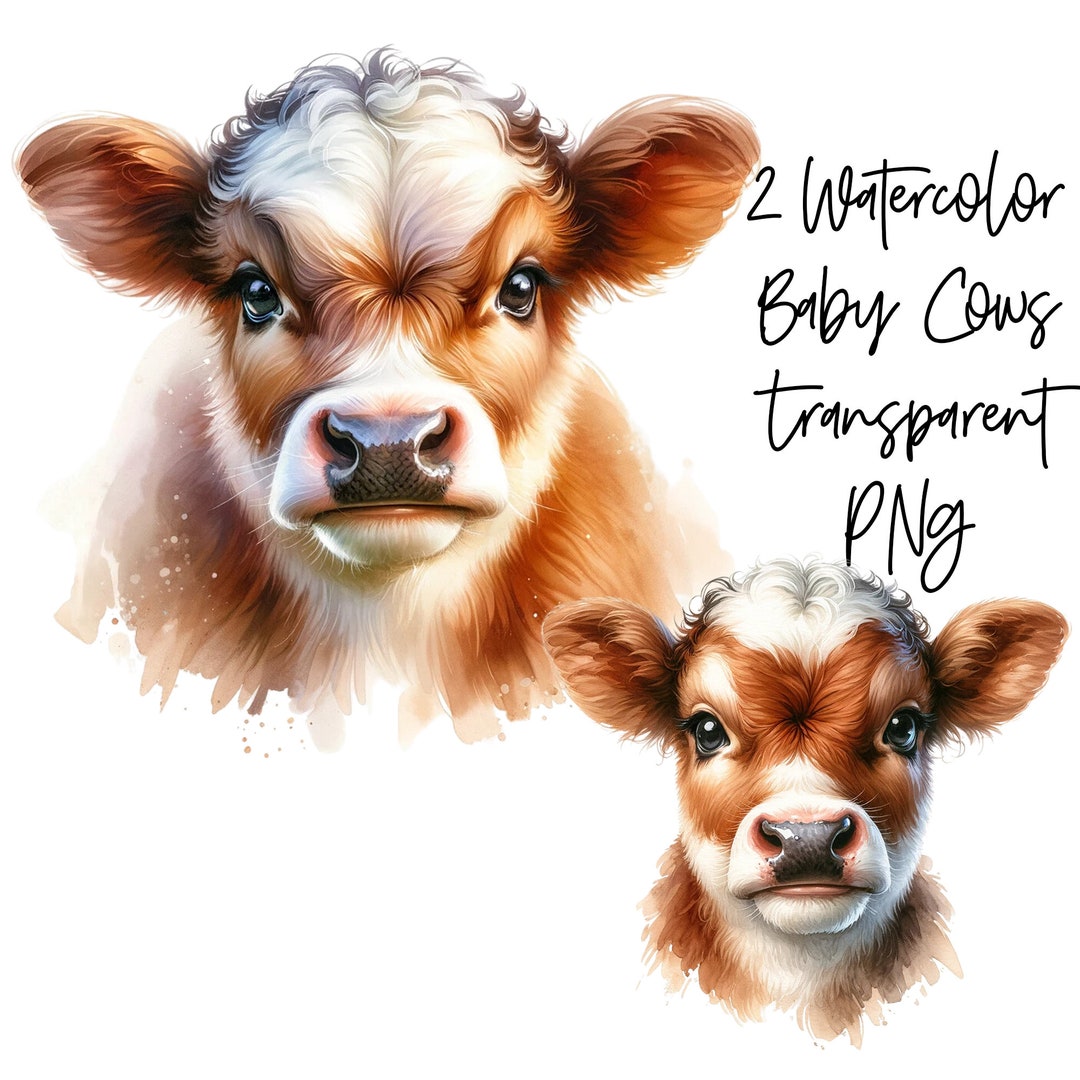 2 PNG Baby Cow Transparent Watercolor Clipart Digital Download ...