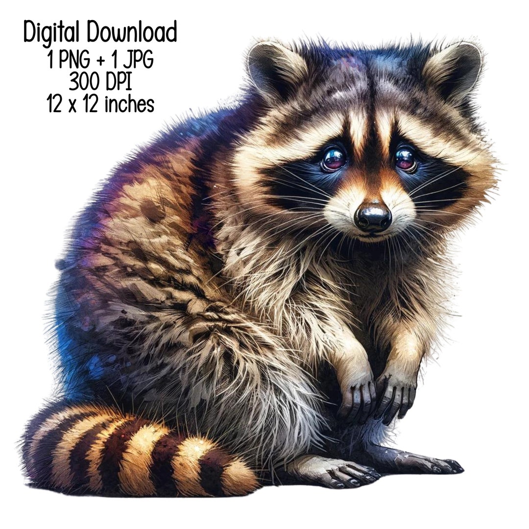 Racoon Digital Download Realistic Racoon Watercolor Clipart Commercial ...