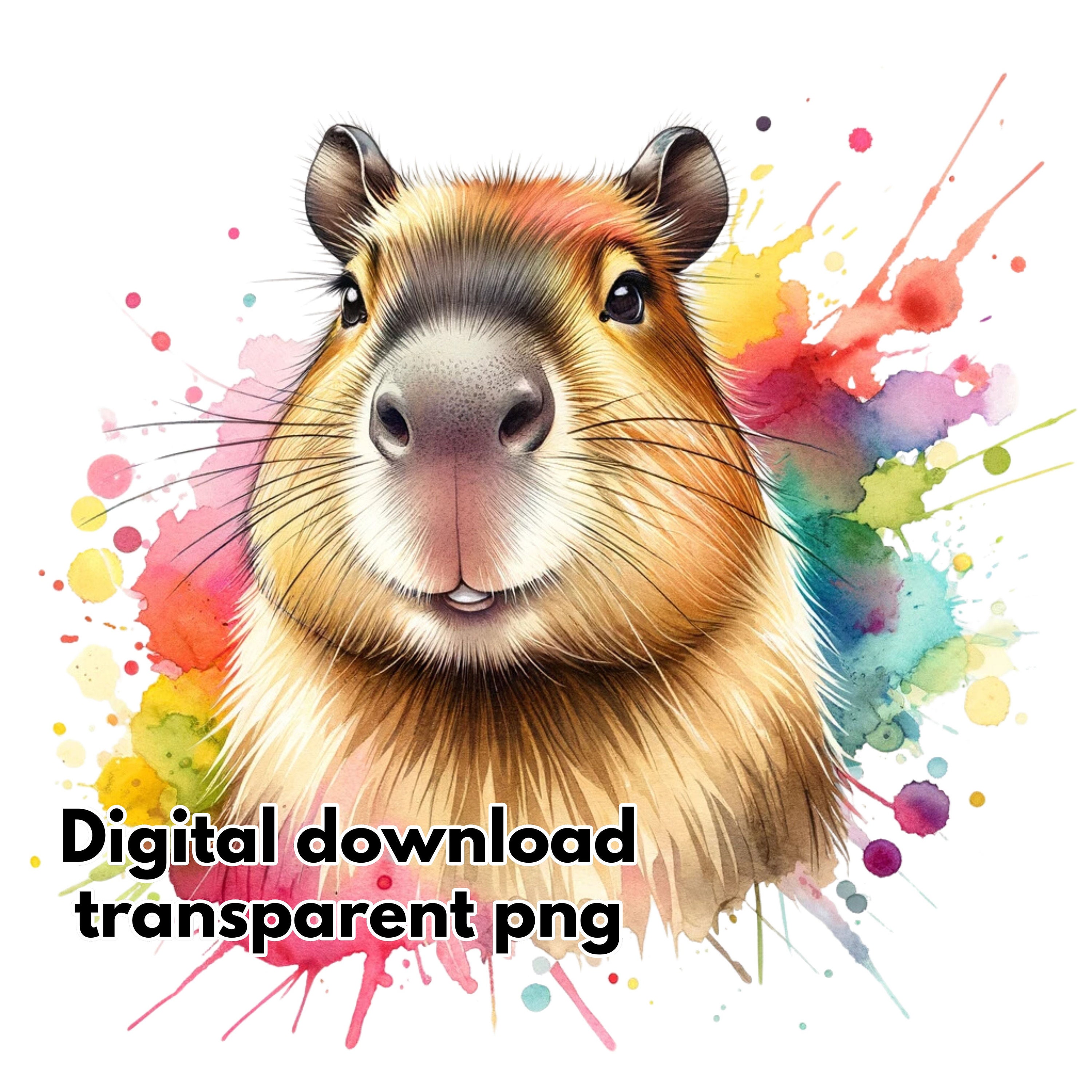 PNG Capybara Color Splash Digital Download Commercial Use Transparent ...