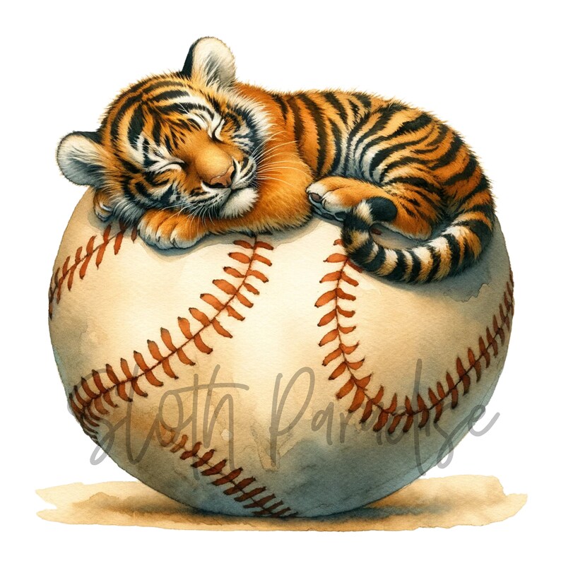 10 Baseball Animals Pngs Transparent Watercolor Clipart Digital ...